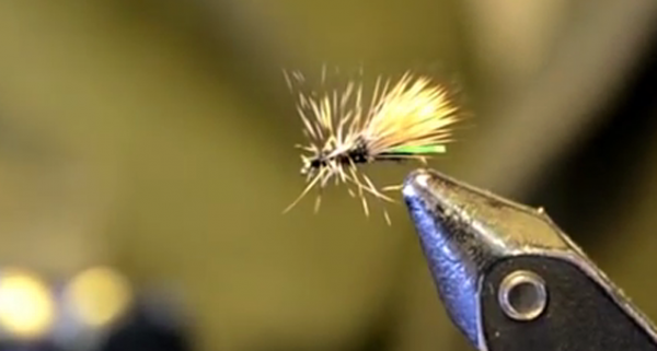 At The Vise: Tying Kelly Galloup's Goober Midge - Fly Life Magazine